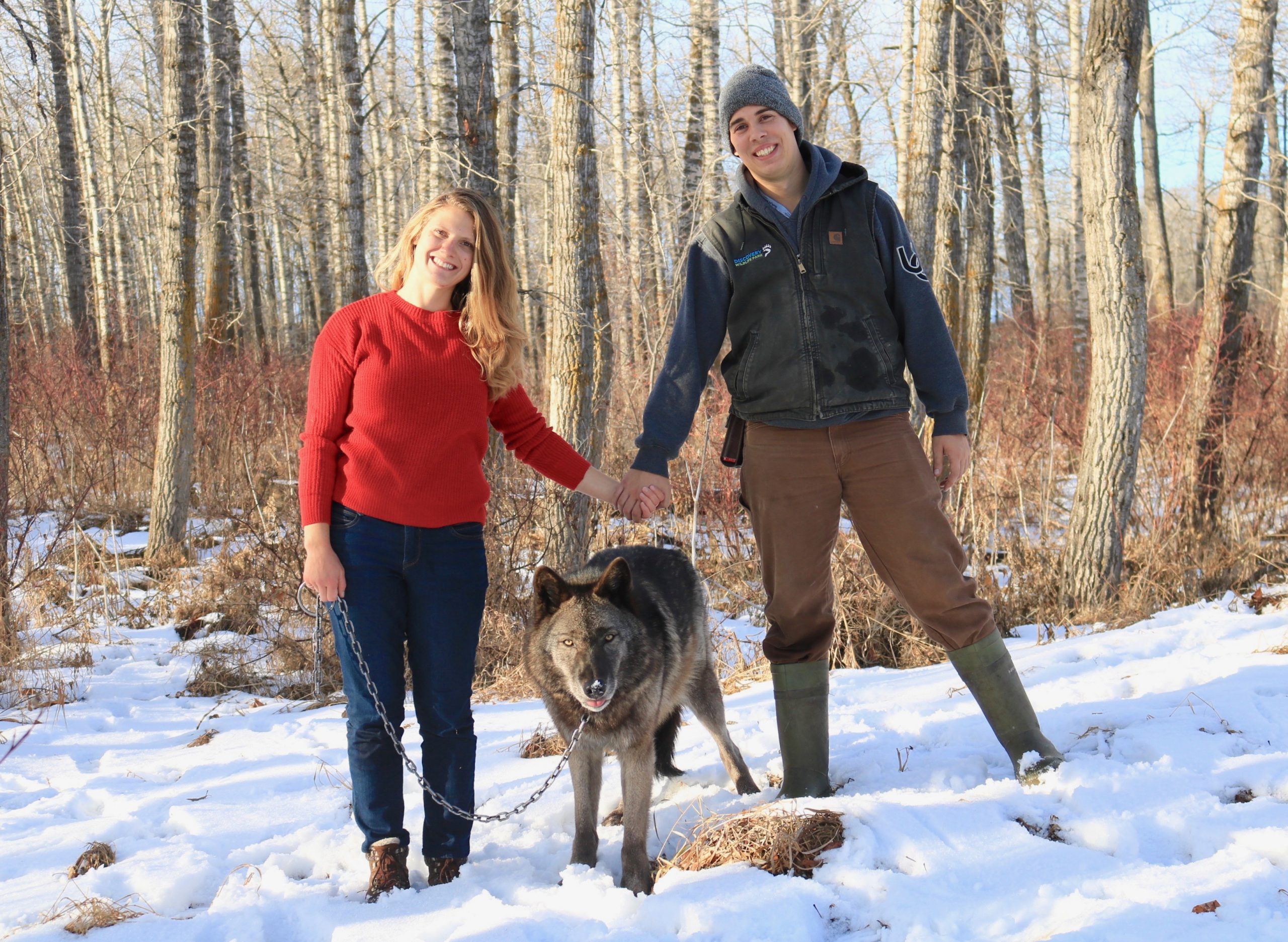 Wolf Walks - Discovery Wildlife Park