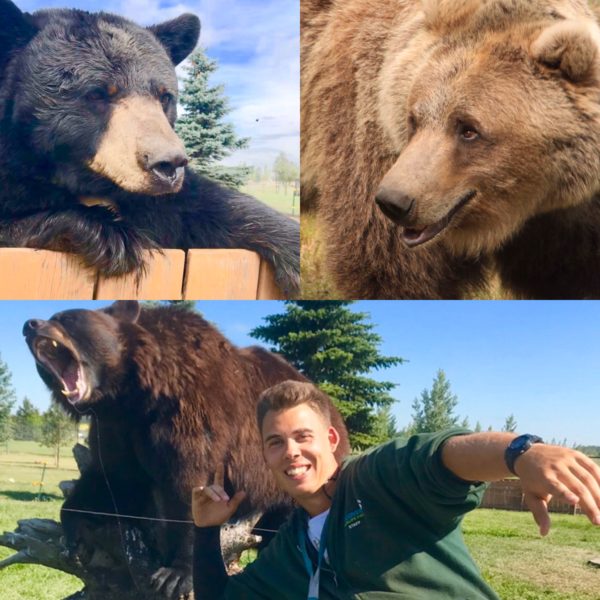 Experiences - Discovery Wildlife Park