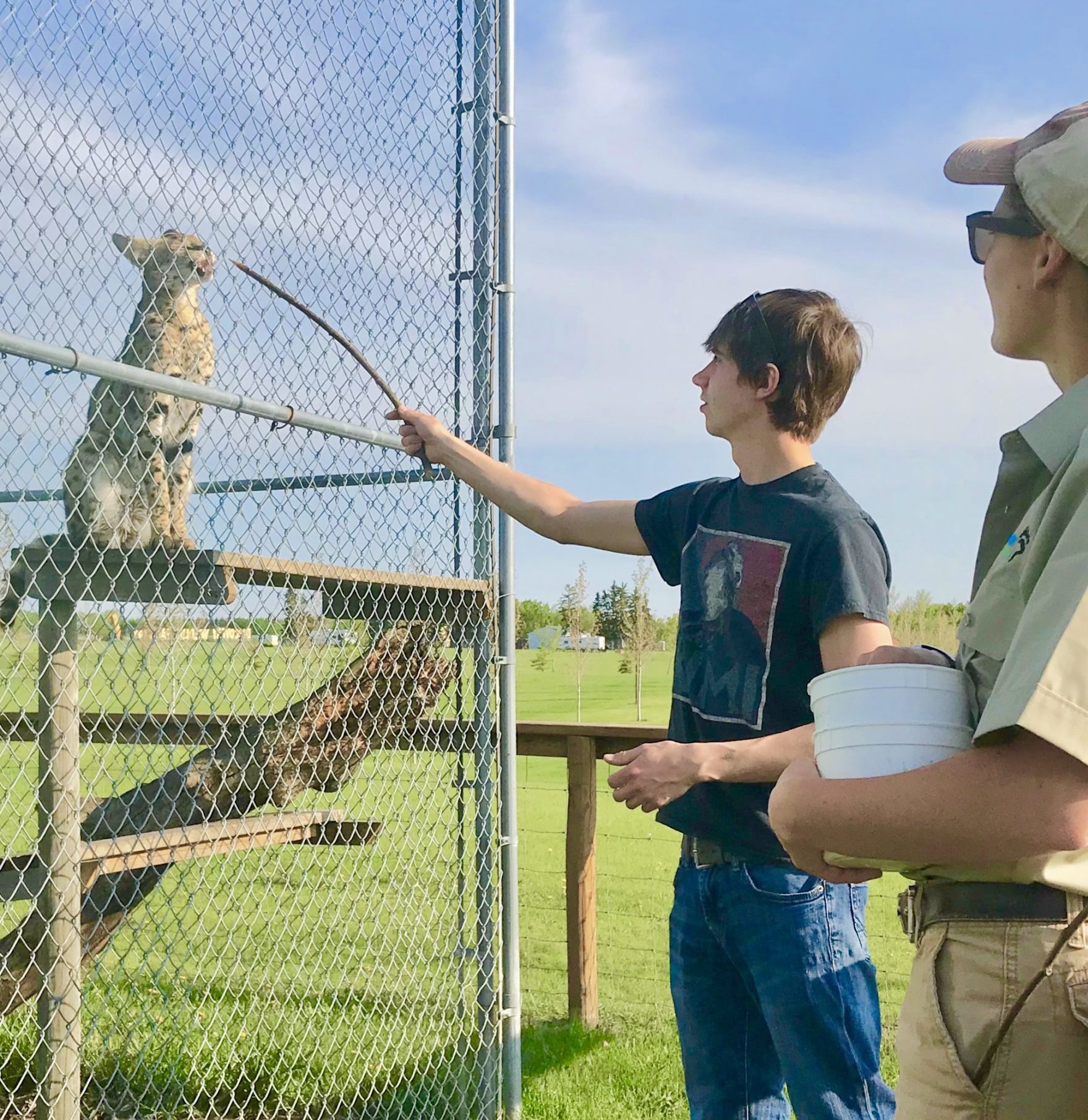 Experiences - Discovery Wildlife Park