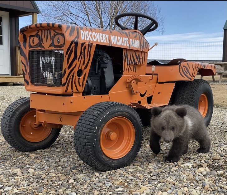 Campground & Cabin rentals - Discovery Wildlife Park