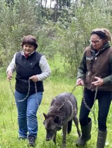 Experiences - Discovery Wildlife Park